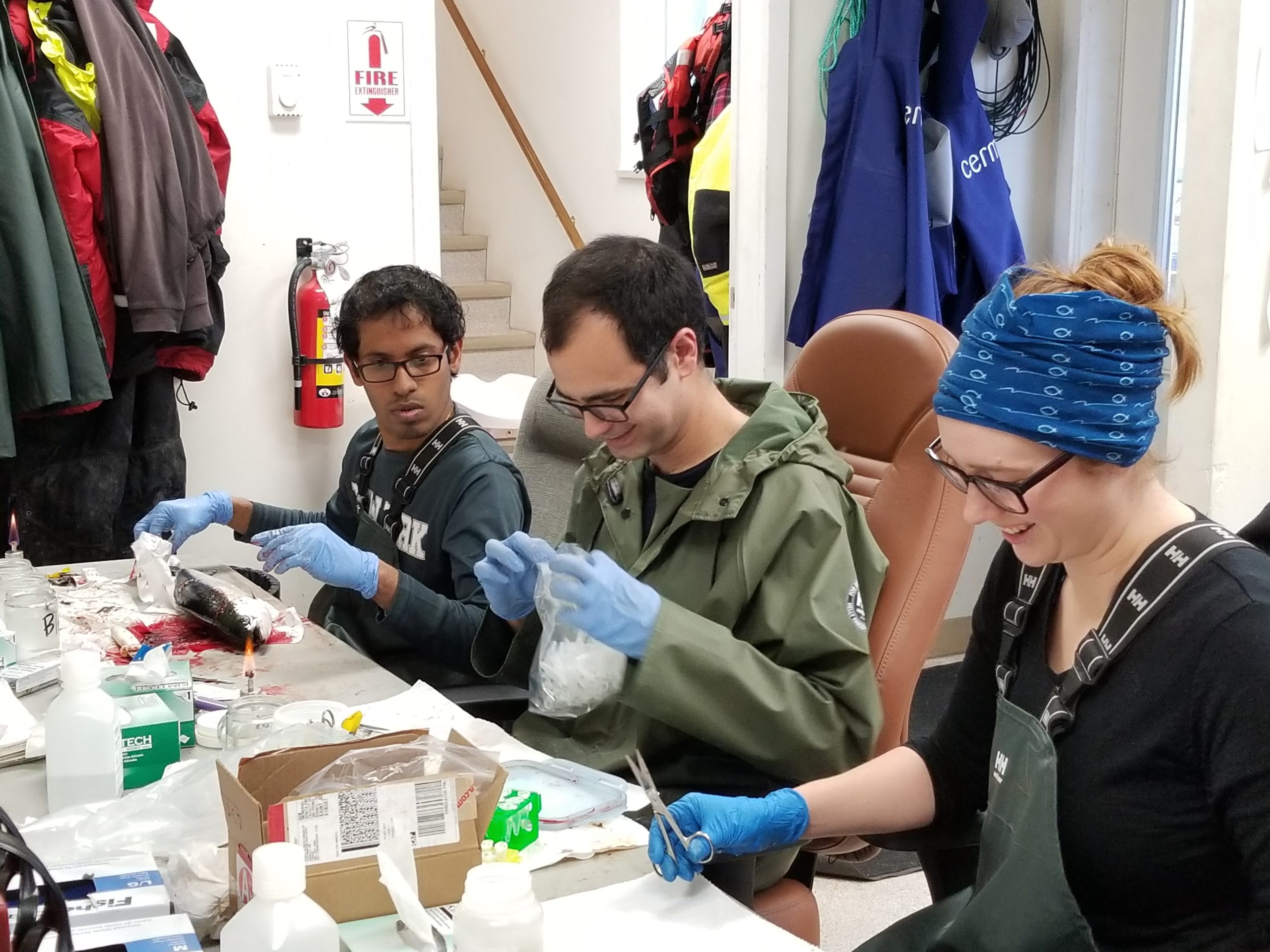 Slashing sea lice infection - Mitacs